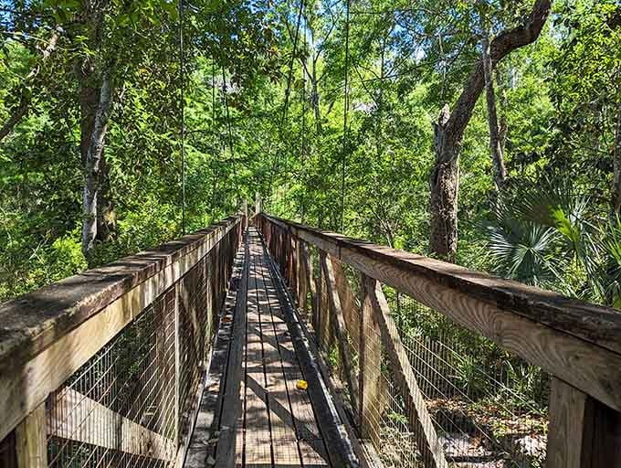 Ravine Gardens' suspension bridge leads you into nature without requiring a machete or bug spray.