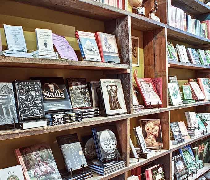 Books on skulls and natural history line the shelves, perfect for the intellectually curious oddball.
