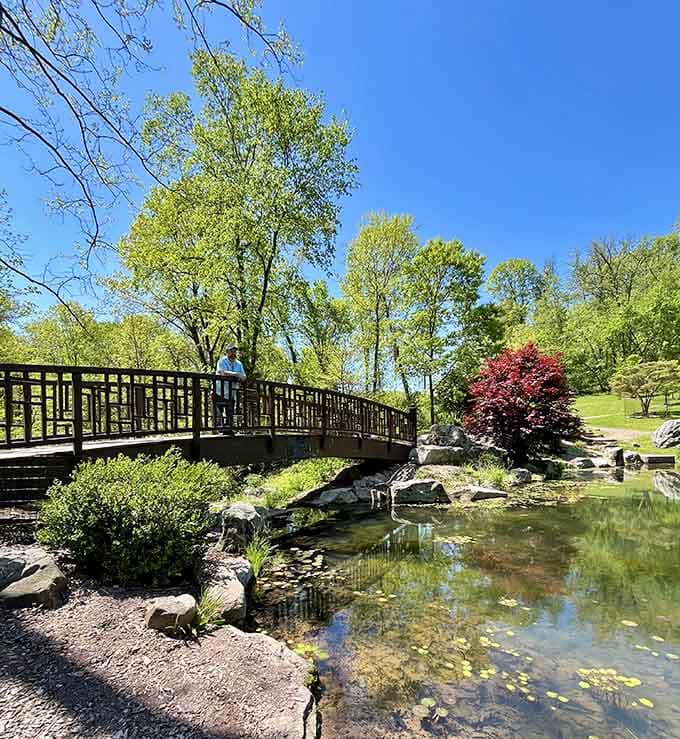 This bridge over tranquil waters offers the kind of view that makes you forget you're still in Pennsylvania.