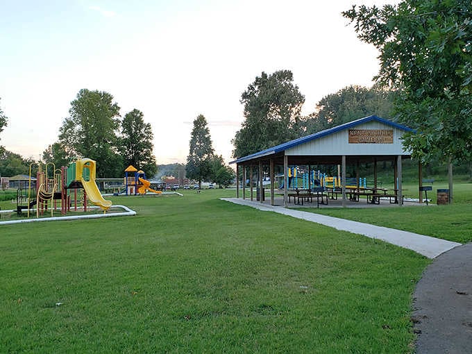 Community parks offer green spaces where kids can actually play outside without requiring a security detail or reservation.