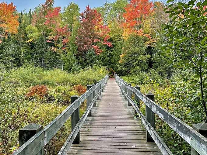 This boardwalk leads you into the kind of wilderness that makes everyday worries seem wonderfully insignificant.