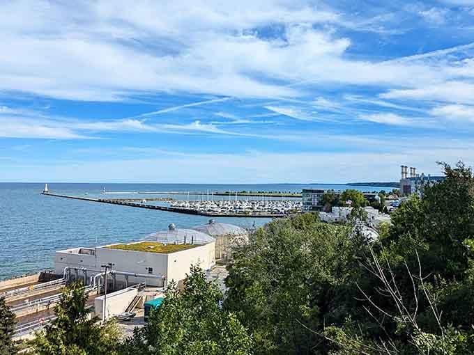 Upper Lake Park delivers those sweeping harbor views that make you forget you're nowhere near the Atlantic Ocean.