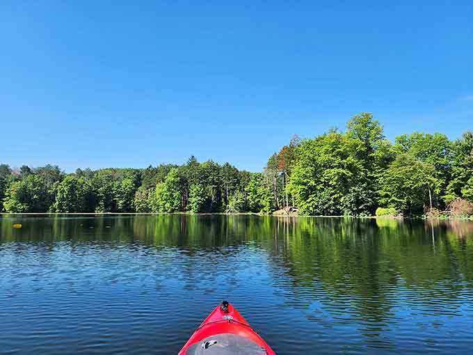 Kayaking here feels like you've stumbled into a nature documentary, minus the dramatic narrator.