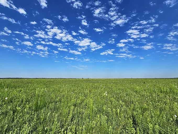 Sky meets grass in a perfect line, proving that sometimes the best views are the simplest ones.