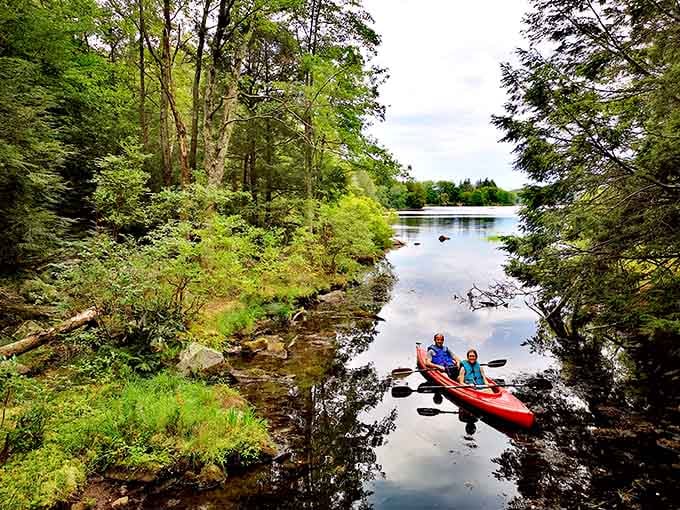 Paddling through these serene waters beats sitting in traffic any day, and your blood pressure will thank you.