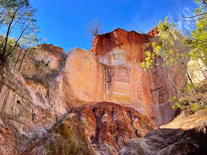 Every angle reveals new color combinations that would make any artist jealous of Mother Nature's palette.
