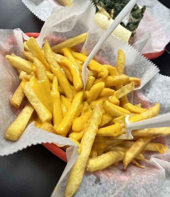 Golden fries drowning in cheese sauce, because sometimes vegetables just aren't invited to the party.