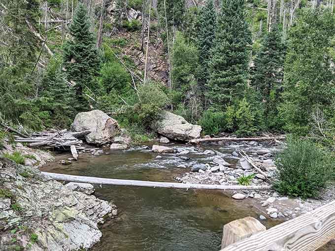 Fallen logs frame this wilderness pool where hot meets cold and civilization meets untamed Colorado backcountry beauty.