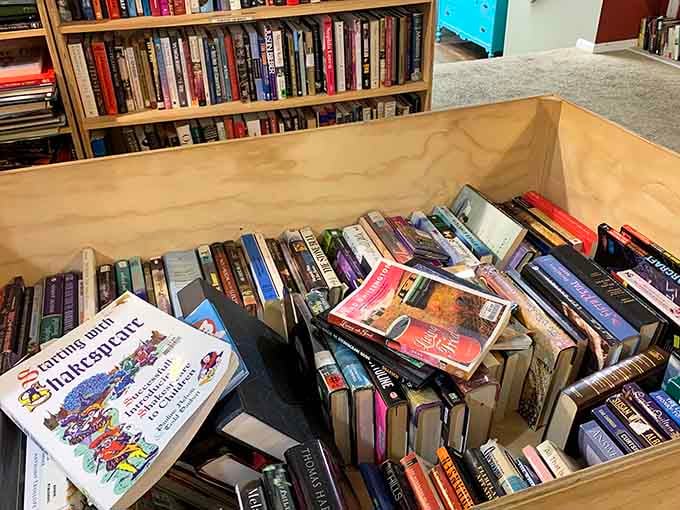 Books stacked and shelved like a literary buffet where every title costs less than your morning coffee.