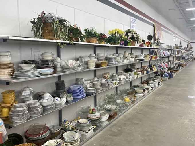 Dishes stretching into the distance like a ceramic highway, proving one person's cupboard cleanout is another's jackpot.