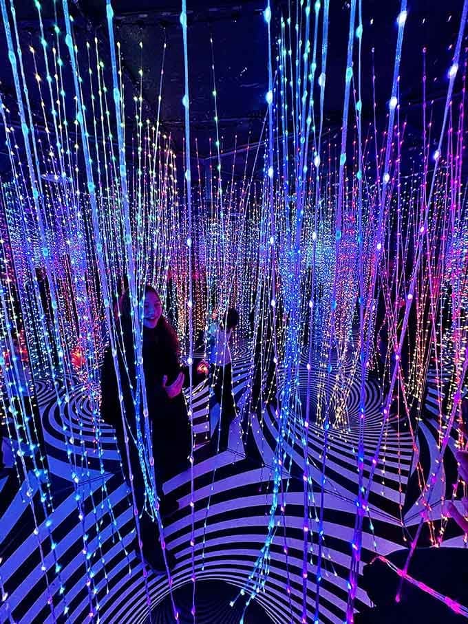 Step into this light forest and become part of a living kaleidoscope that photographs beautifully, naturally.