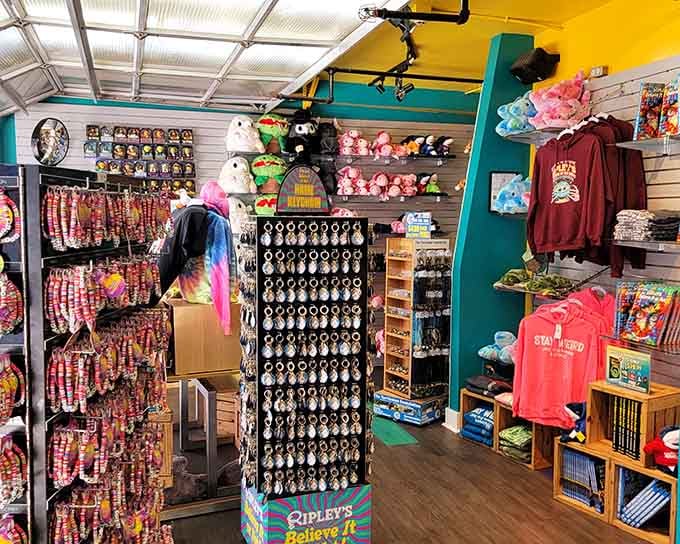 The gift shop knows you'll want proof of your adventure, preferably in wearable form with bold graphics.