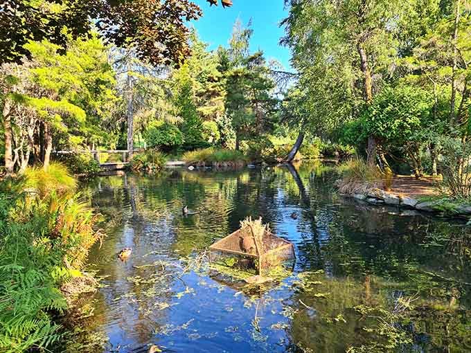 This tranquil pond reflects the sky while providing the kind of serenity your therapist keeps recommending.