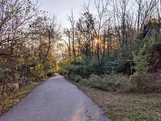 This peaceful path once echoed with excited footsteps heading toward thrills that no longer exist but somehow remain.