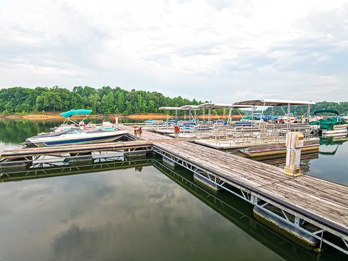 The marina docks stretch out invitingly, where speedboats and pontoons wait to make your lake day legendary.