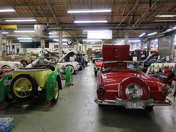 Row after gleaming row of automotive artistry, each one telling stories from America's love affair with the road.