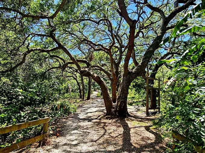 Nature trails that twist through old oaks remind you that Florida existed long before air conditioning and theme parks.