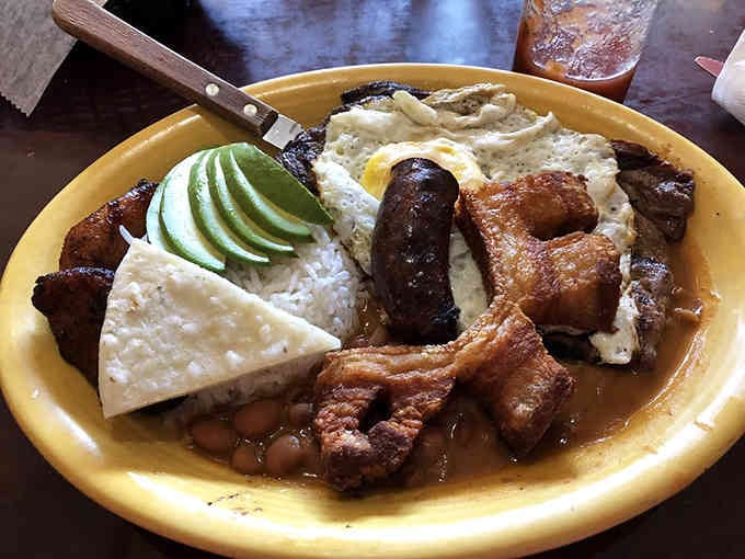 A buffet plate loaded with variety, because committing to just one thing is overrated anyway.