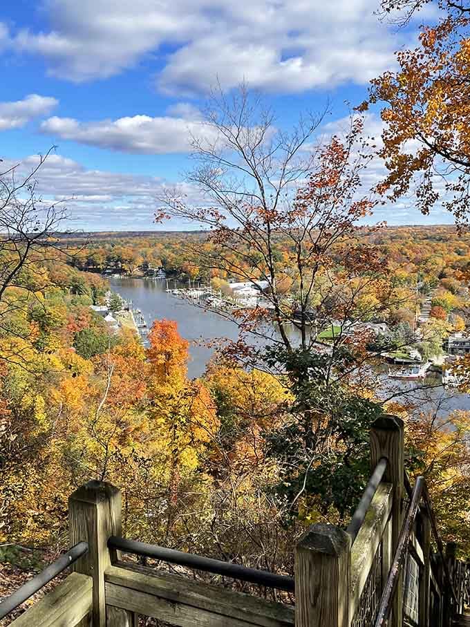 Mount Baldhead's overlook rewards your climb with views that'll make you forget you're not actually at the ocean.