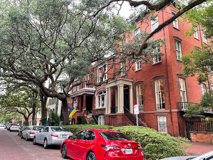 Live oaks create natural canopies over brick townhouses where people actually live their daily lives with serious style.