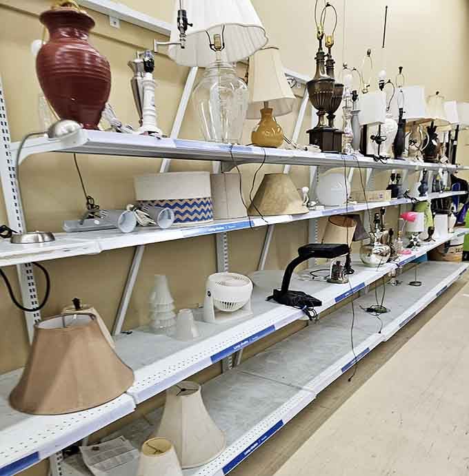 A lamp collection that would make any interior designer weep with joy at these ridiculously affordable prices.