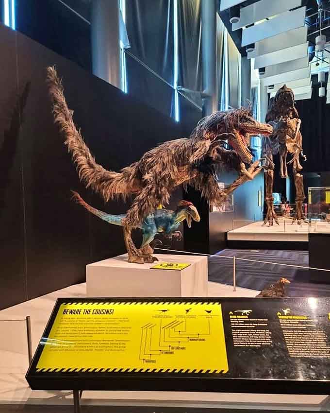 Feathered dinosaurs looking fierce enough to make you grateful extinction happened before your morning commute began.