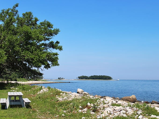 Perfect picnic spots dot the island, offering waterfront dining that no restaurant reservation could ever match.