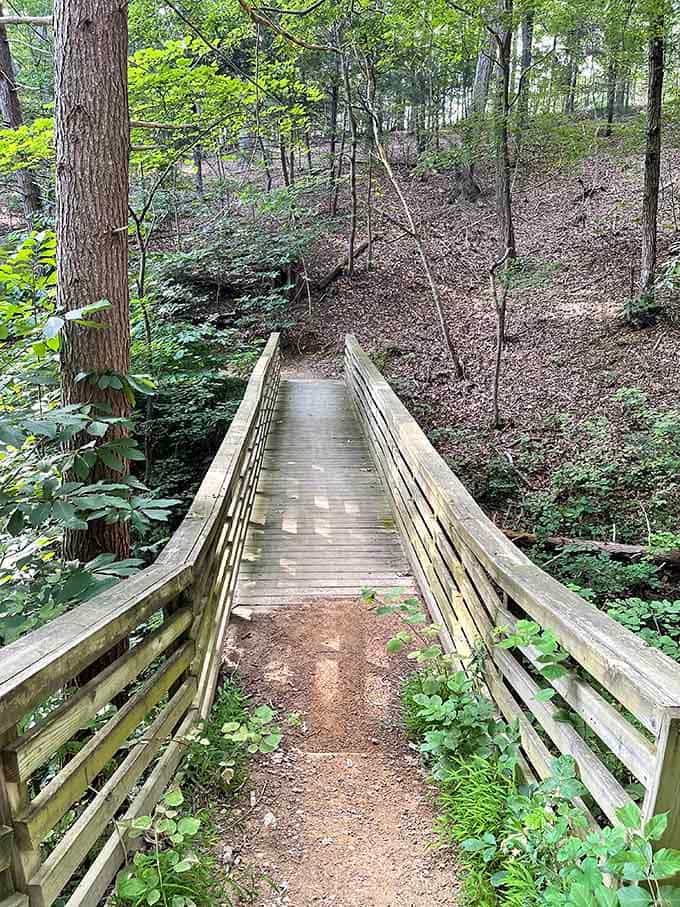 Footbridges are nature's way of saying "come closer, there's something worth seeing just ahead" without being pushy.