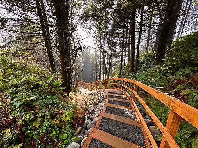 The wooden staircase winds through coastal forest like something from a Pacific Northwest fairy tale come alive.