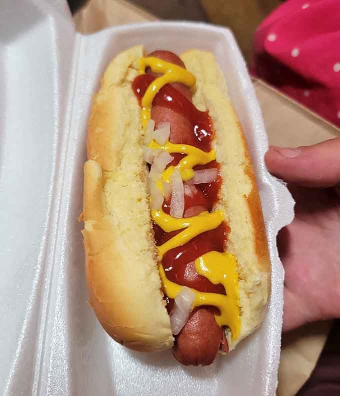A hot dog dressed in mustard and ketchup, ready to remind you why simplicity never goes out of style.