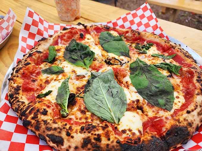 Fresh basil leaves crown this classic margherita like nature's own garnish, simple ingredients creating extraordinary flavor together.