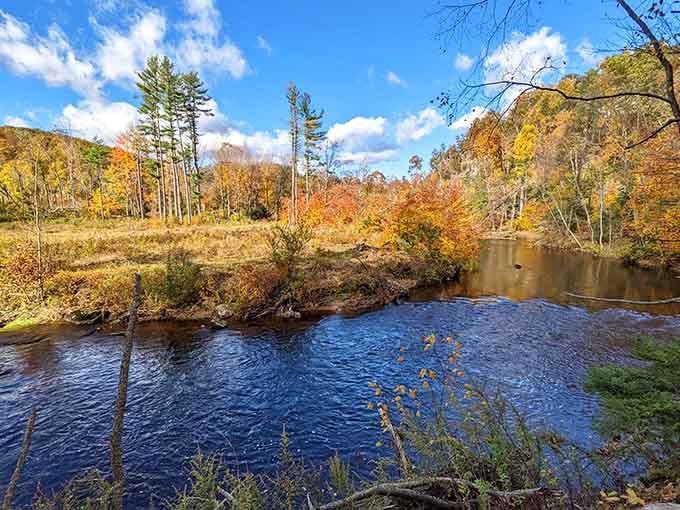 Autumn transforms the Mill River into a postcard that somehow looks better in person than photos.