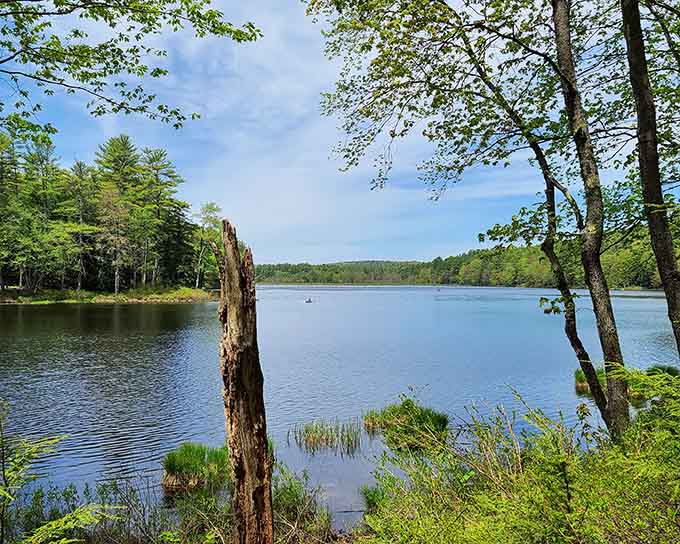 Tully Lake offers peaceful views that remind you why people invented the phrase "getting away from it all."