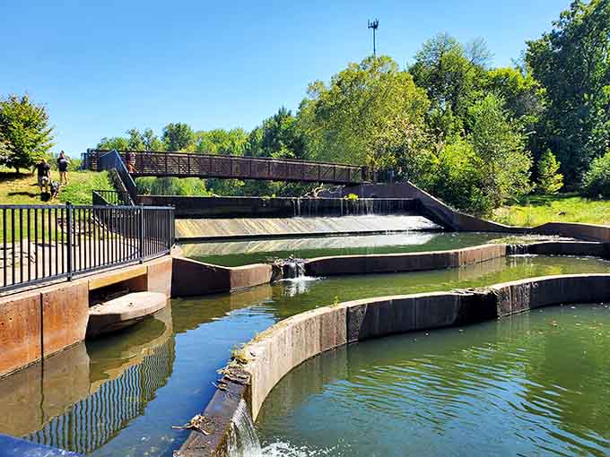 Parks like this remind you that nature doesn't charge admission, just asks you to show up and breathe.