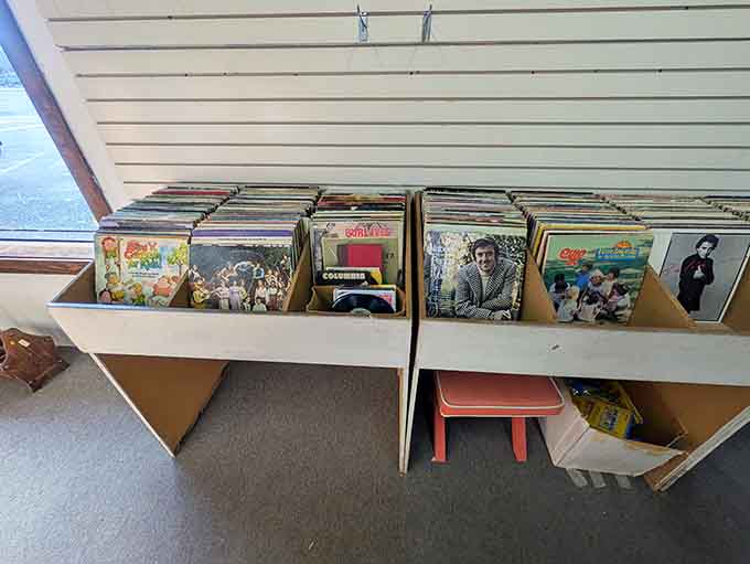 Vinyl records lined up like musical time capsules, ready to spin nostalgia into your living room.