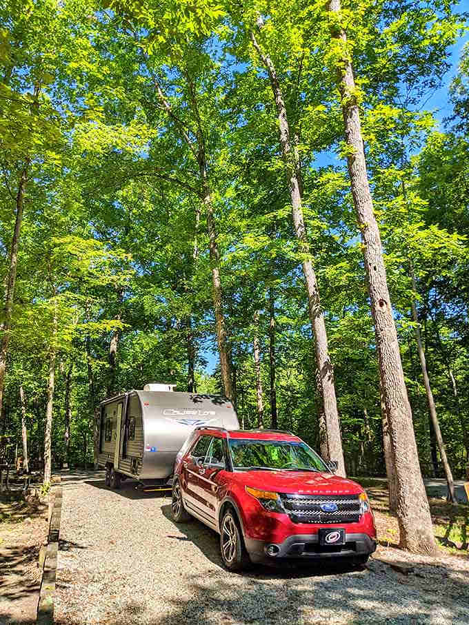 RV camping among towering trees where your biggest decision is which hammock spot looks most inviting today.