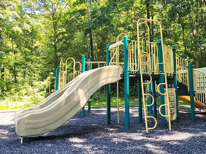 A proper playground nestled in the woods where kids can actually be kids without someone complaining about the noise.