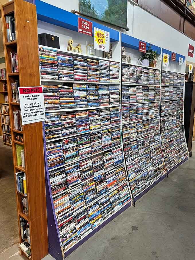 Wall-to-wall DVDs offer enough entertainment options to make your streaming subscriptions question their worth entirely.