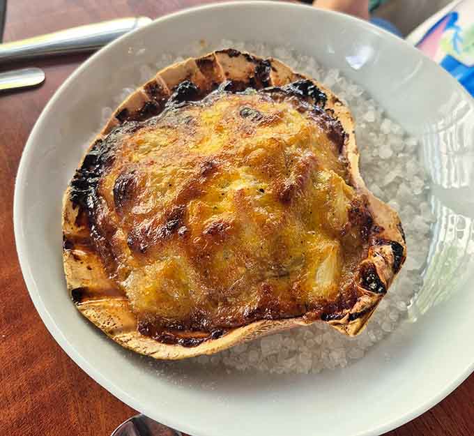 Golden, bubbling, and begging to be devoured, this baked scallop knows exactly what it's doing.