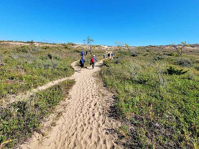 The trail beckons adventurers onward, promising views that'll make your Instagram followers deeply jealous of your life.