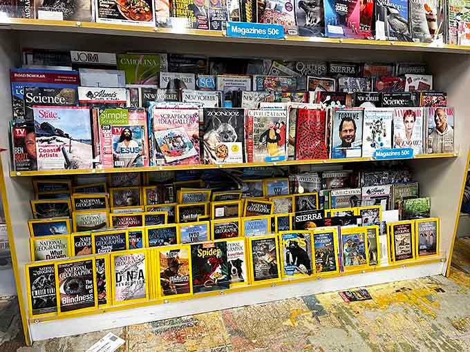 National Geographic meets crafting heaven, where yesterday's magazines become today's collage materials and tomorrow's creative fuel.