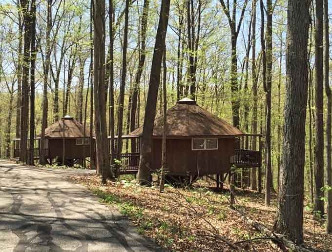 Traditional yurts nestled in the woods offer retreat spaces that beat any hotel room you've ever complained about online.
