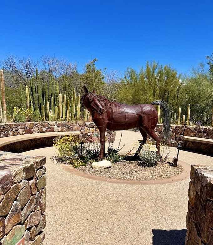 This striking horse sculpture stands proudly among saguaros, blending artistic vision with the raw beauty of desert landscape.
