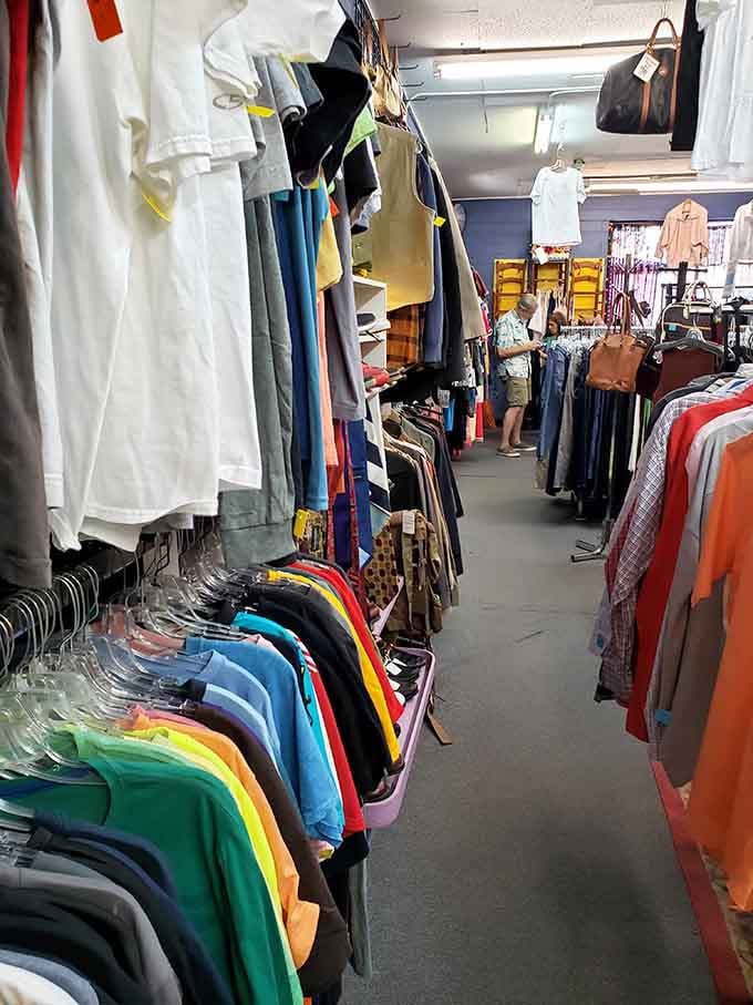 Aisles that actually make sense, proving thrift stores can have their act together after all.