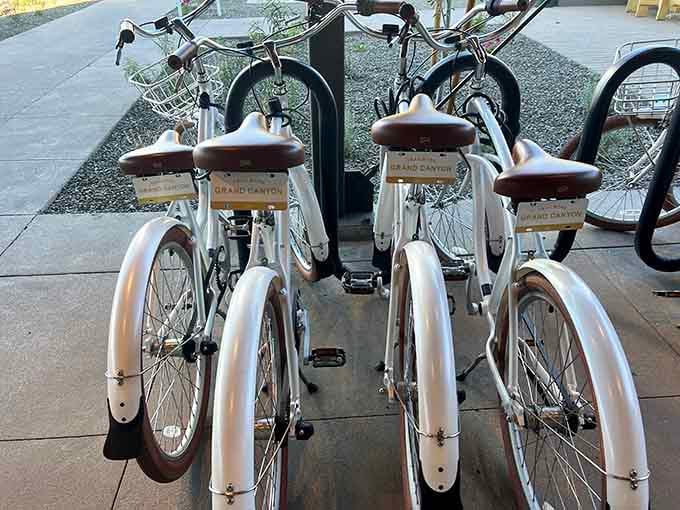 Cruiser bikes waiting to explore Williams prove the best adventures often happen on two wheels, not four.