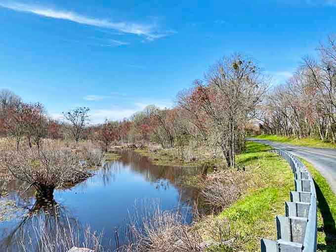The roadside views here prove that sometimes the best scenery doesn't require hiking boots or effort.