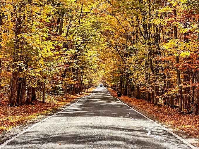 Autumn's grand finale looks like someone spilled every warm color from the paint store.