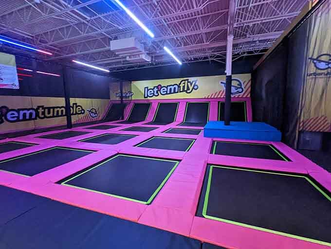 Pink trampolines stretching into the distance, because apparently regular floors are for quitters and the unadventurous.