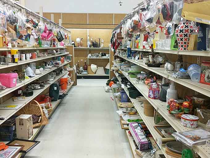 Housewares heaven where your next favorite coffee mug is definitely hiding among these colorful shelves and treasures.