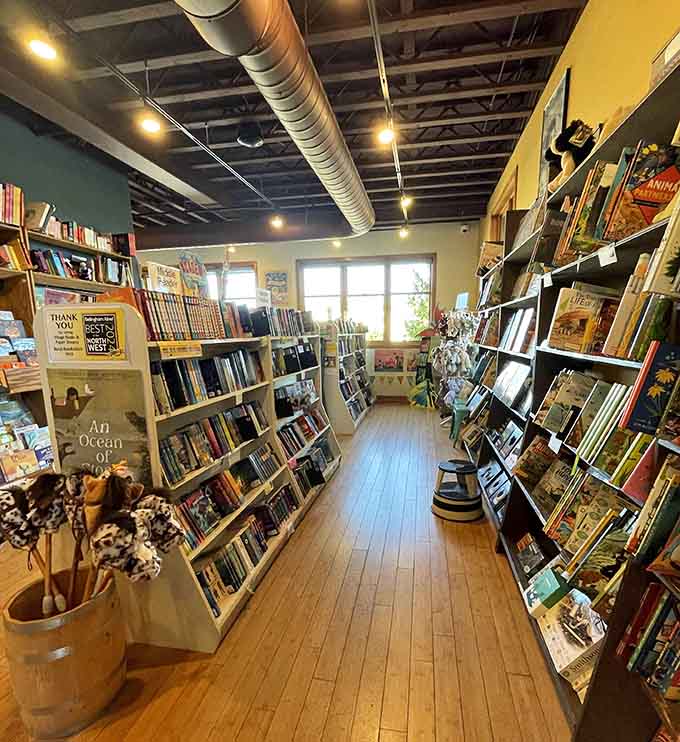 Village Books and Paper Dreams book aisle glows with natural light streaming through windows onto polished wood floors.